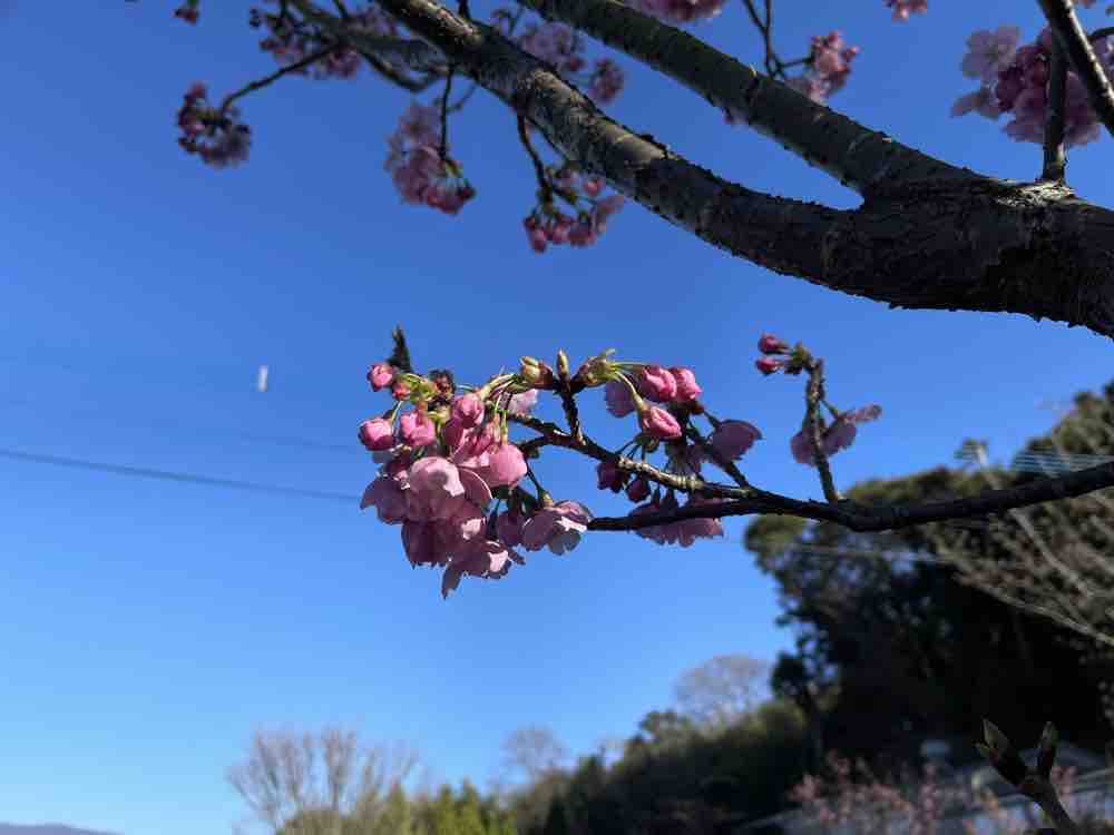 おがわのブログ – 株式会社小川工務店／株式会社緑化センター（長崎県佐世保市 ）〜 新築、リノベーション、リフォーム、造園、不動産など ...